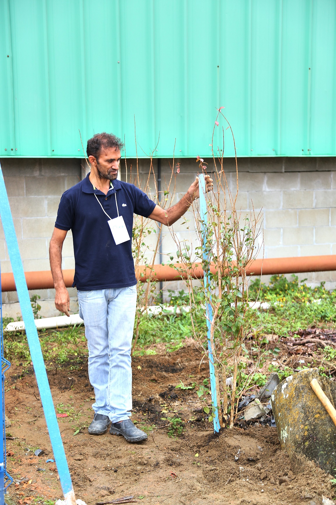 Arborização para o futuro! | OL Logística - Armazéns Gerais, Transporte ...