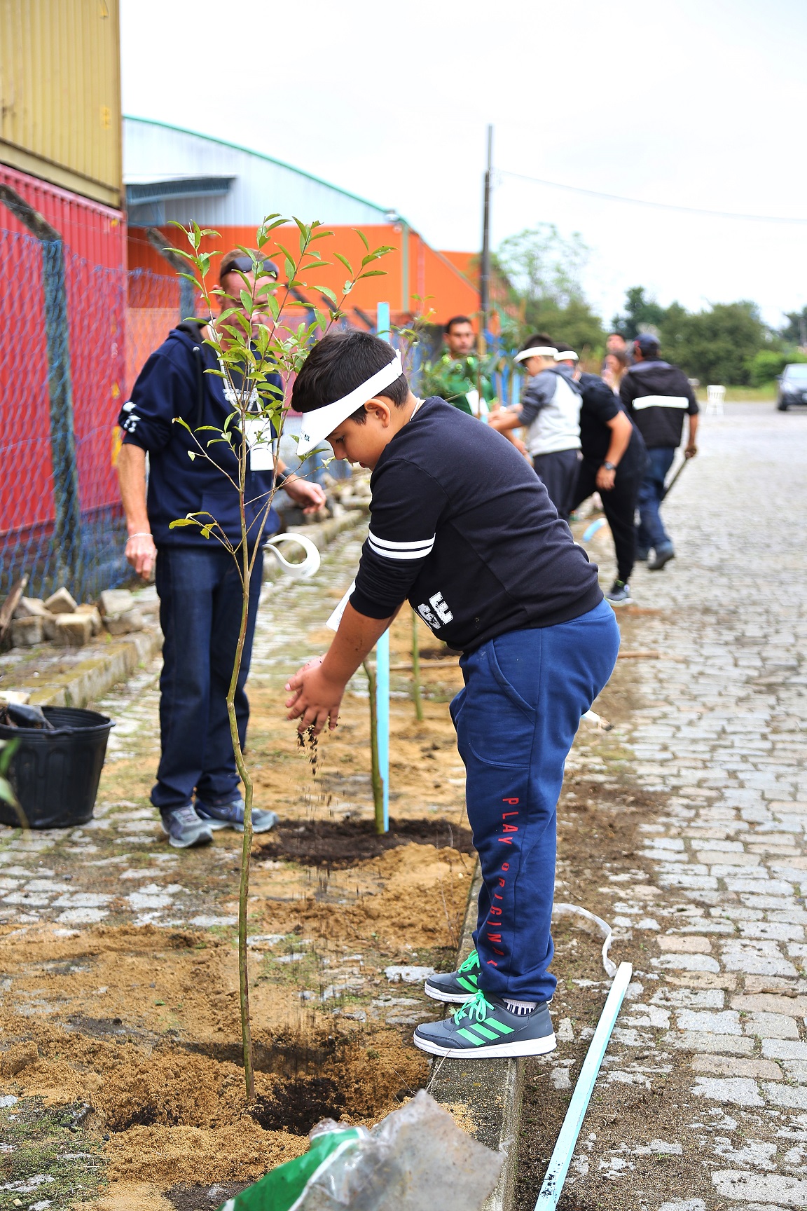 Arborização para o futuro! | OL Logística - Armazéns Gerais, Transporte ...